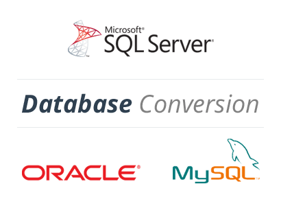 Insurance Agency Management System Software for Insurance Agents